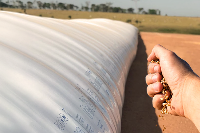 Crescimento do uso de Silo-Bolsa para armazenagem - Pacifil
